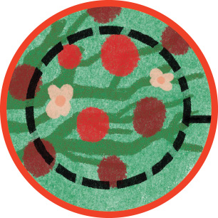 Building Equitable Pathways Racial Equity Framework